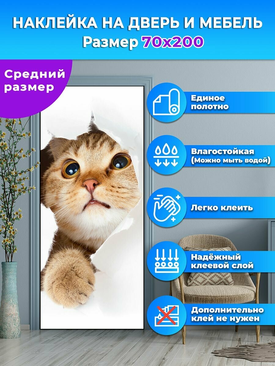 Наклейка интерьерная на дверь "Кошка, вылезающая из дыры", самоклеющаяся 70х200 см.