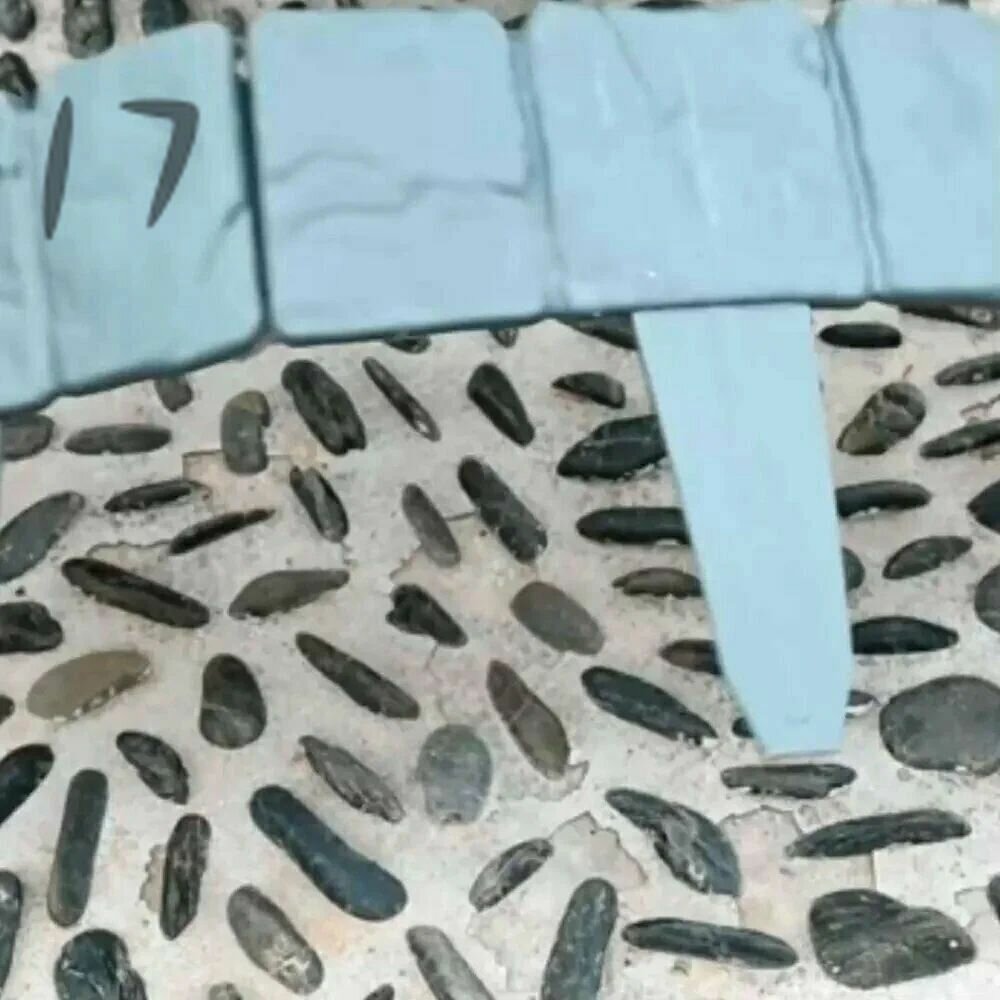 Бордюр садовый — фото 1