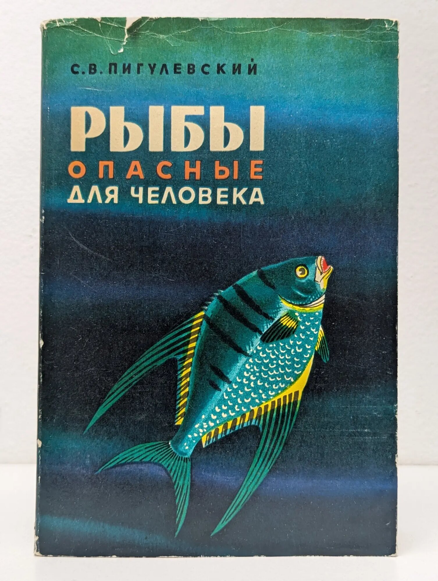 Рыбы, опасные для человека Пигулевский Сергей Владимирович 1964