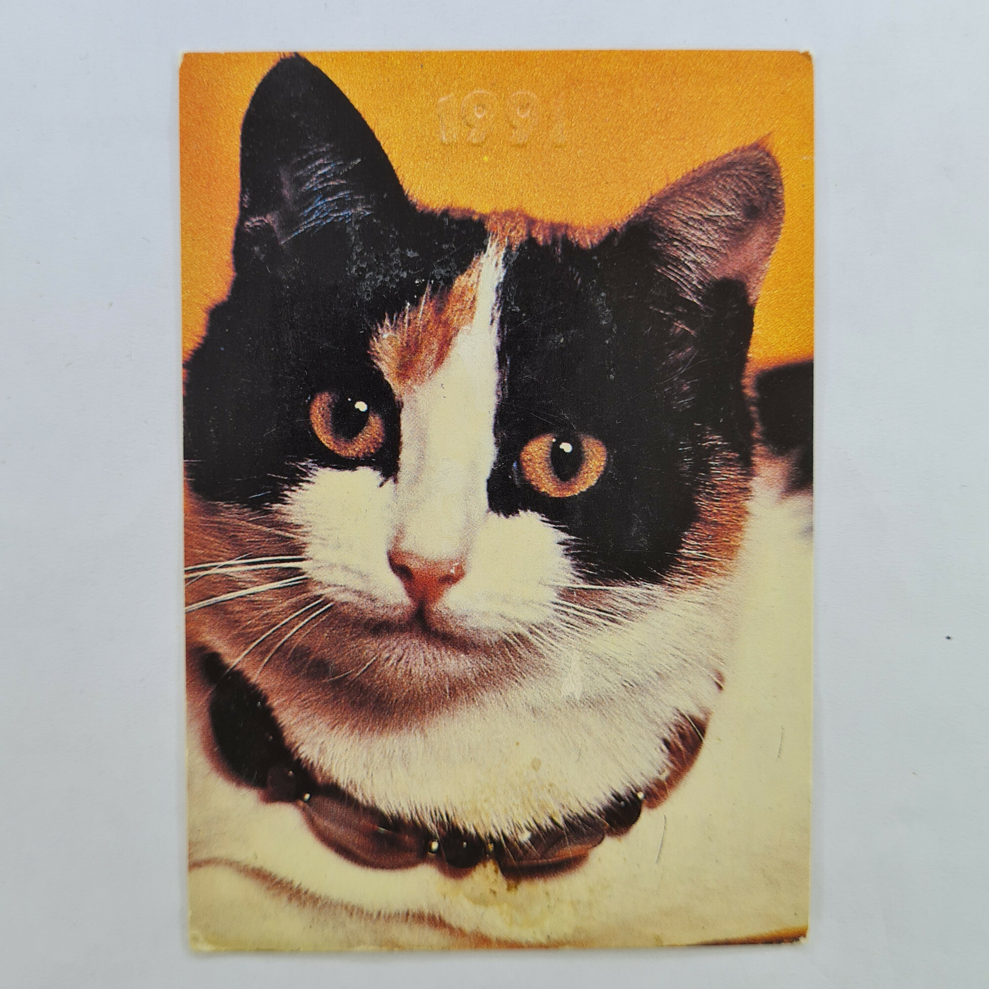 Карманный календарик СССР 1991. Кошка, домашние животные. Советский календарь винтажный