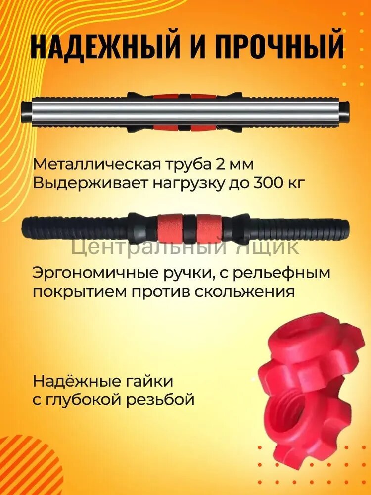 Гриф гантельный — фото 1