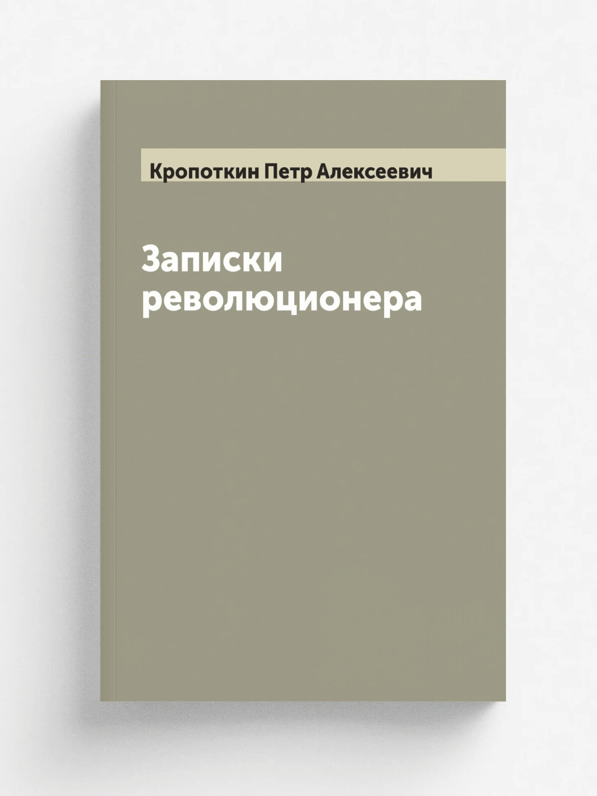 Записки революционера