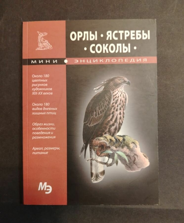 Мини энциклопедия: орлы, ястребы, соколы