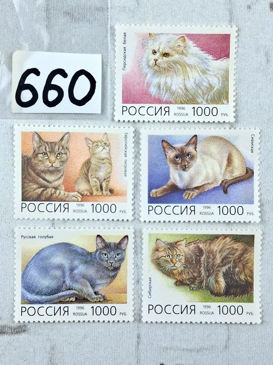Почтовая марка Россия 1996. Домашние кошки