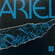Ariel - Ariel - Jazz Room Records