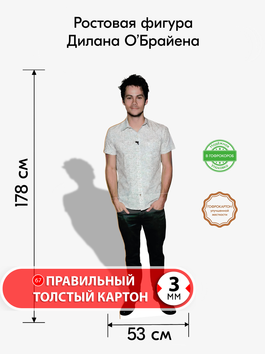 Аксессуар для фотосессий, самое это, Дилан О'Брайен ростовая фигура