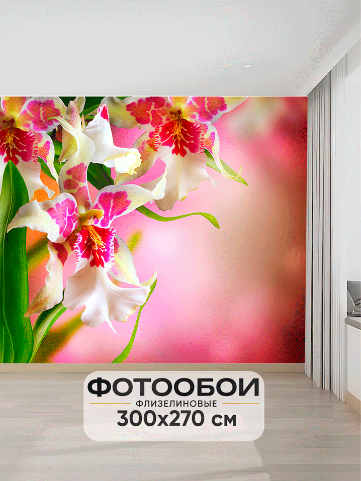 Фотообои на стену "Цветы орхидеи" флизелиновые 300х270 см