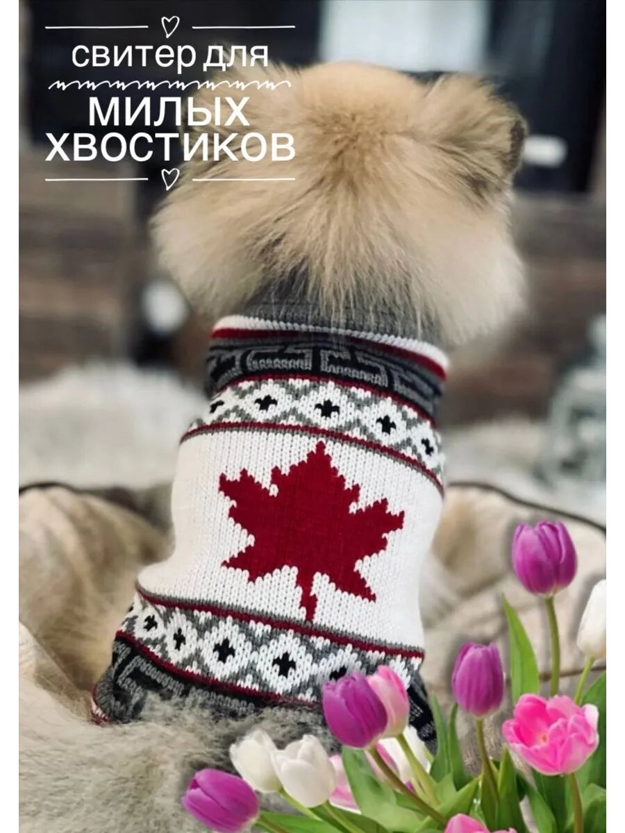 Одежда для собаки кота Свитер мелкие