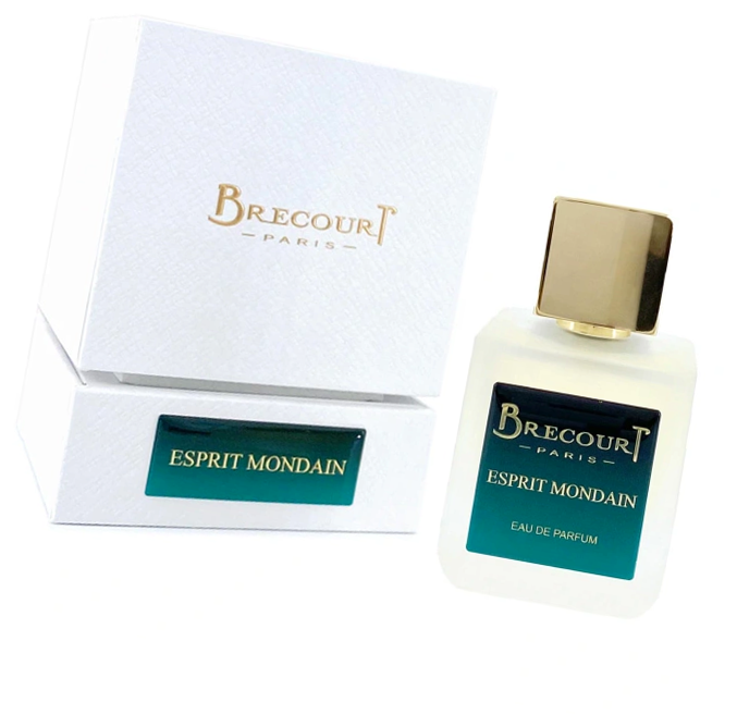 Brecourt Esprit Mondain парфюм для мужчин 100 мл / Брекур Эспри Мондэн