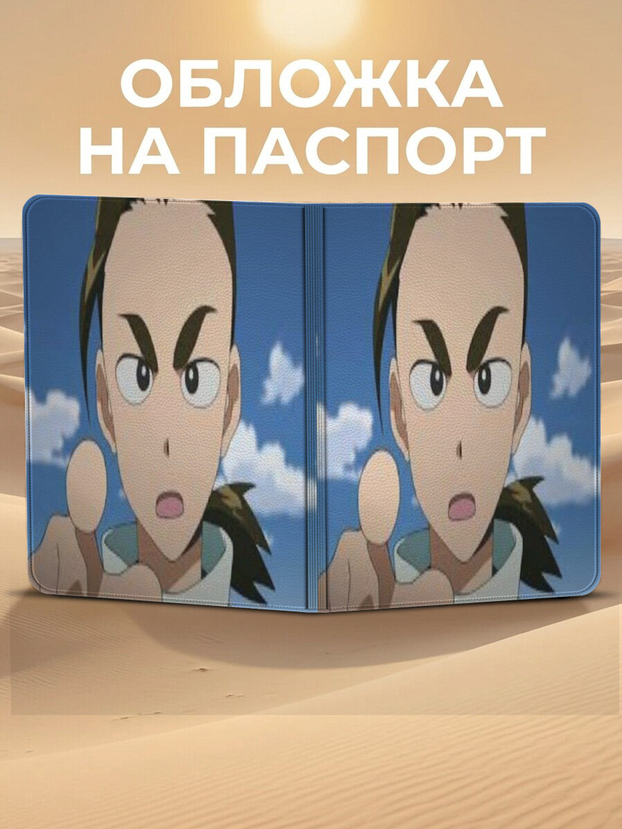 Обложка для паспорта