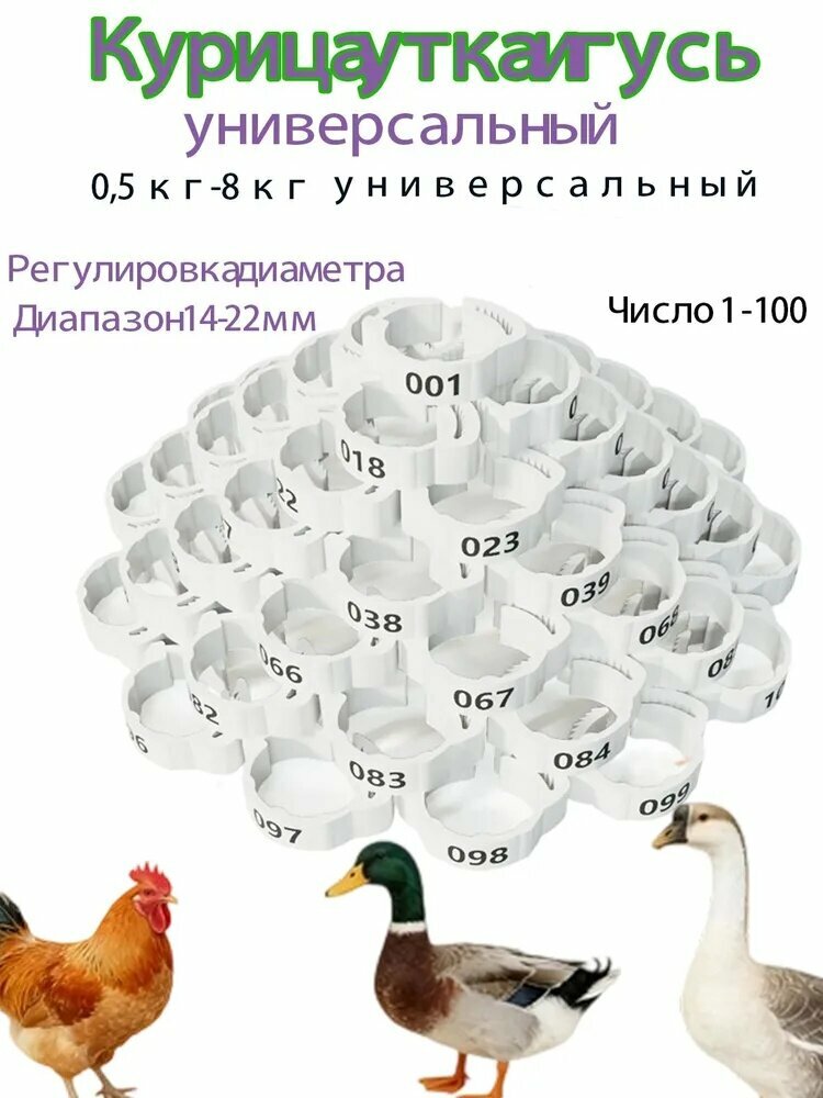 Универсальное пластиковое кольцо для маркировки птиц / регулируемый диаметр 14-22 мм, подходит для многоразовых колец для ног кур, уток и гусей