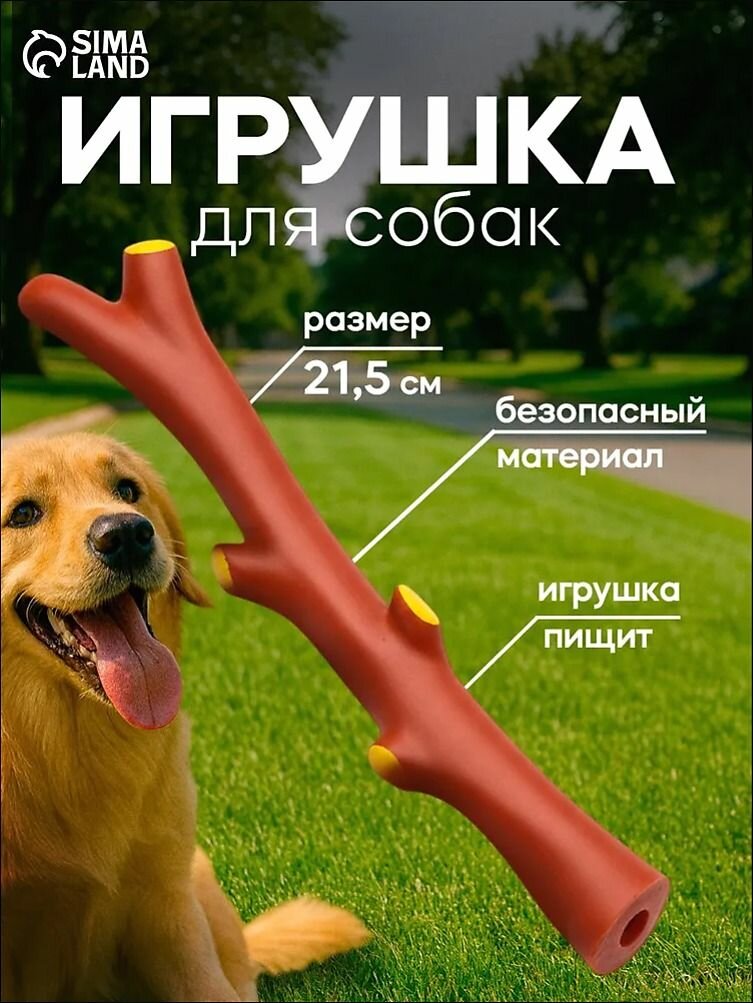 Игрушка для собак Пижон "Ветка", жевательная, для активных игр, пищащая