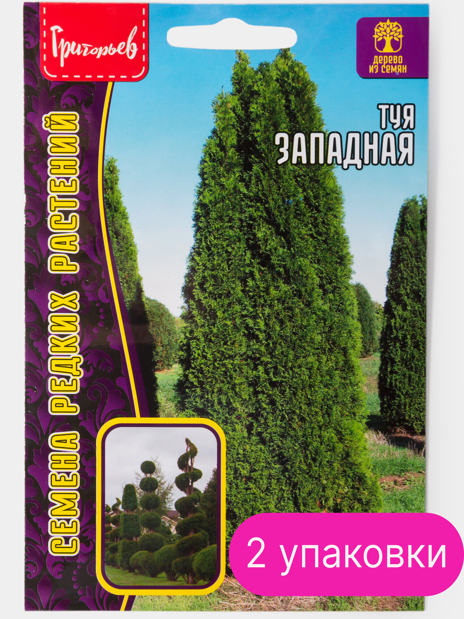 Семена Туя "Западная", 2 упаковки, вечнозеленое хвойное дерево