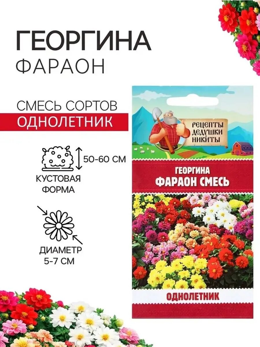 Яркий микс семян георгинов для вашего сада