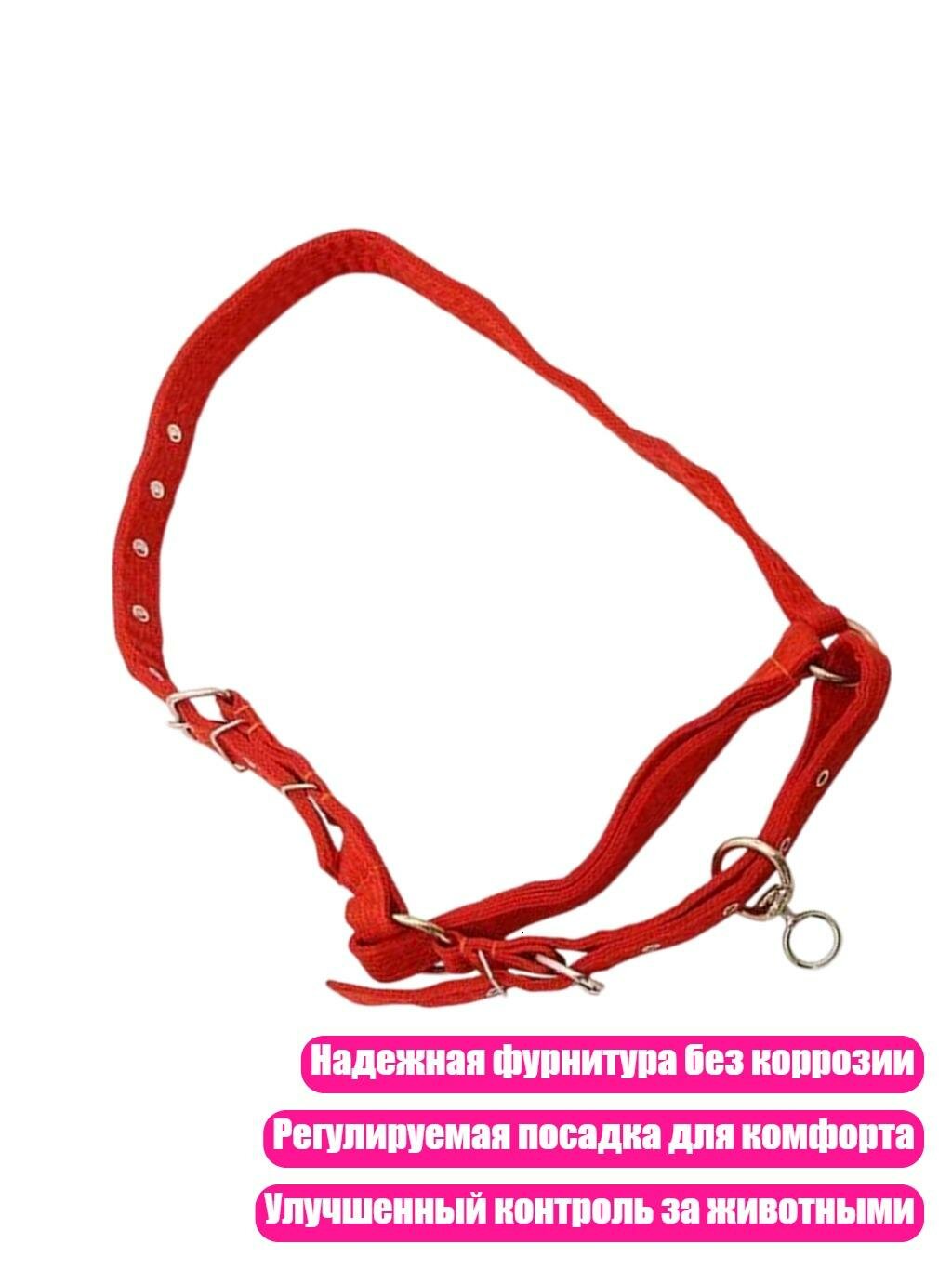 Контроллер скота, L