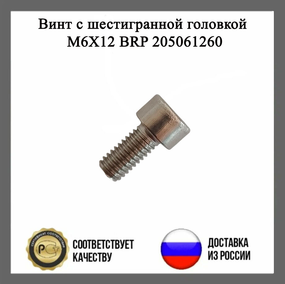 Винт с шестигранной головкой M6X12 BRP 205061260