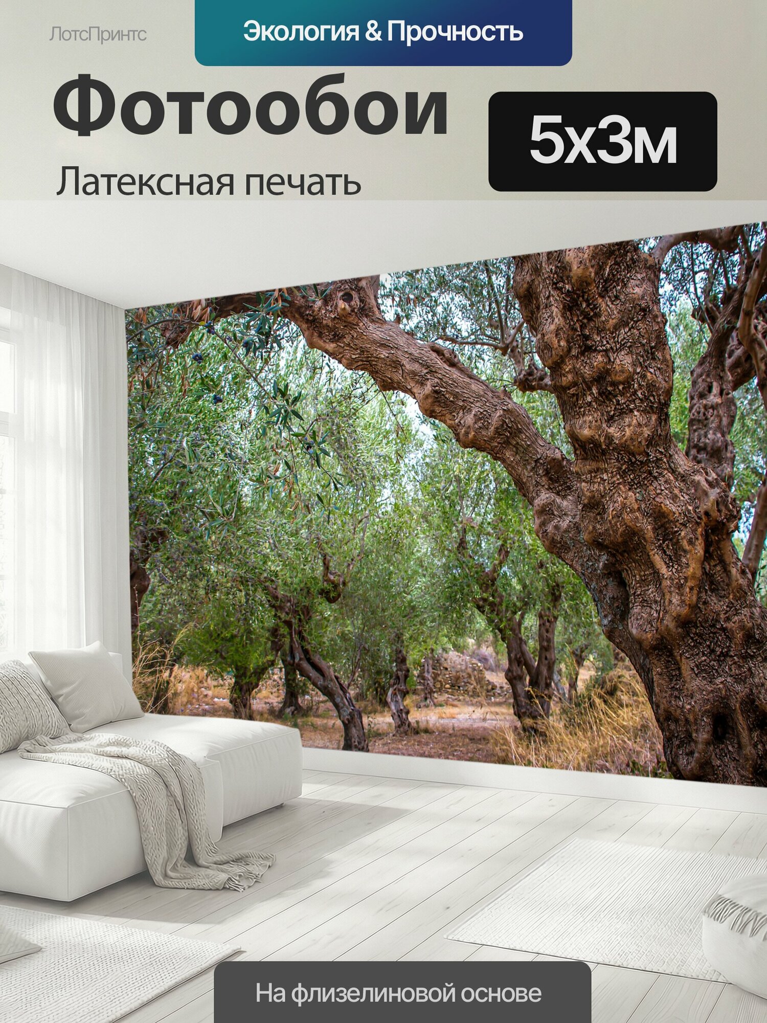Фотообои моющиеся ударопрочные "Оливковая роща, оливковое дерево, природа" 500x300 см. латексная печать