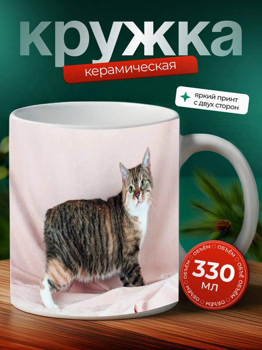 Кружка Триколорная манчкин кошка 15,