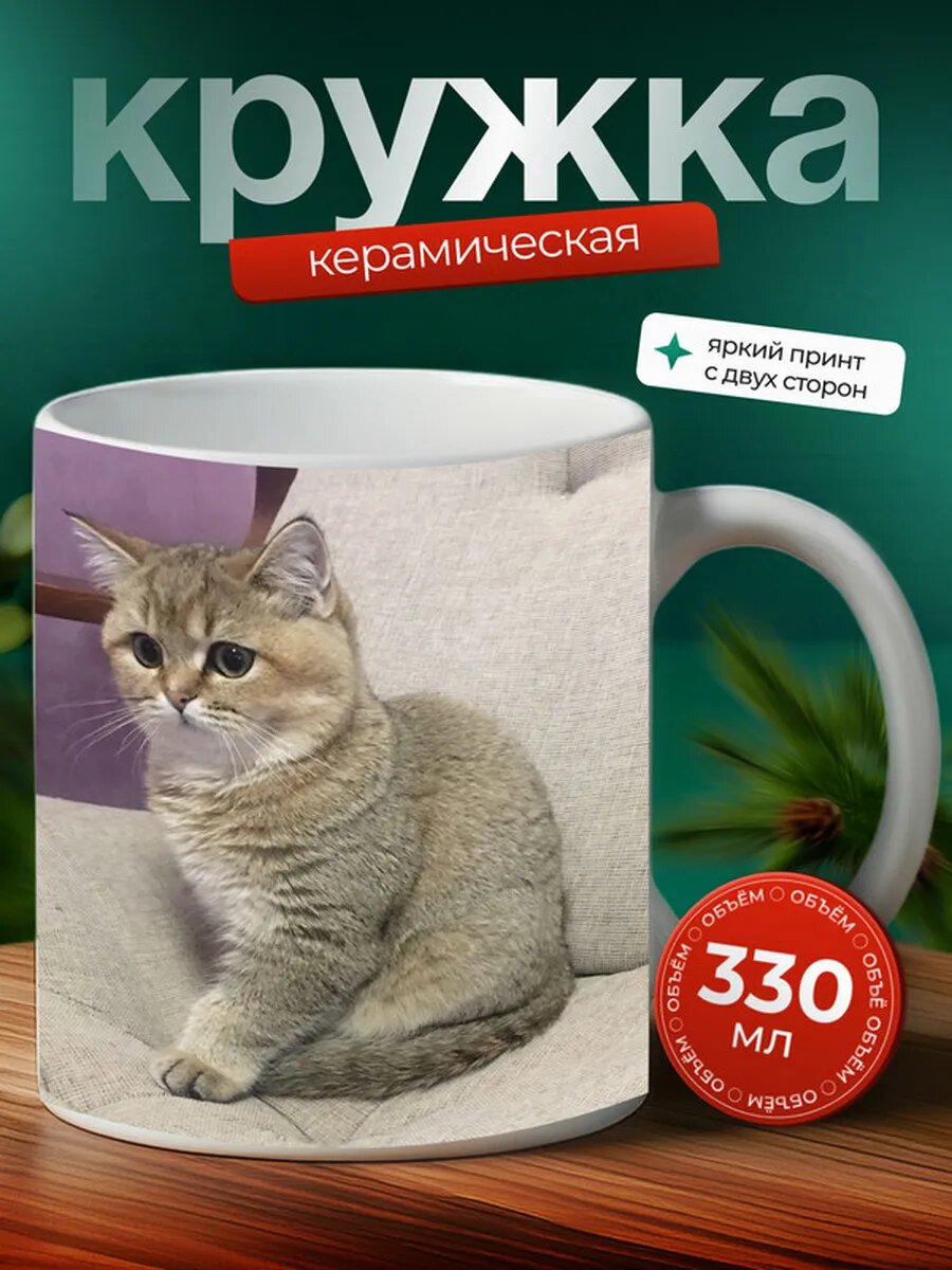 Кружка Британский бомбей кот 23,