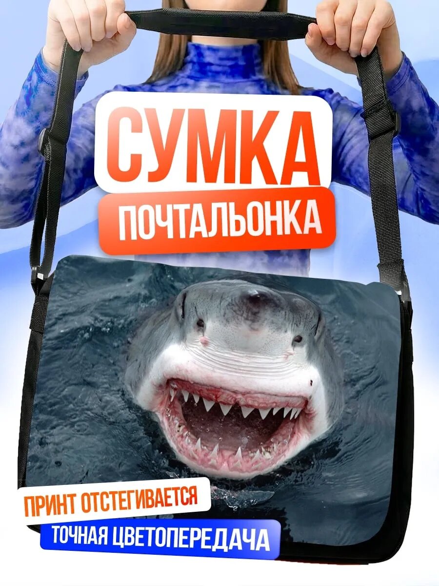 Сумка акула в воде