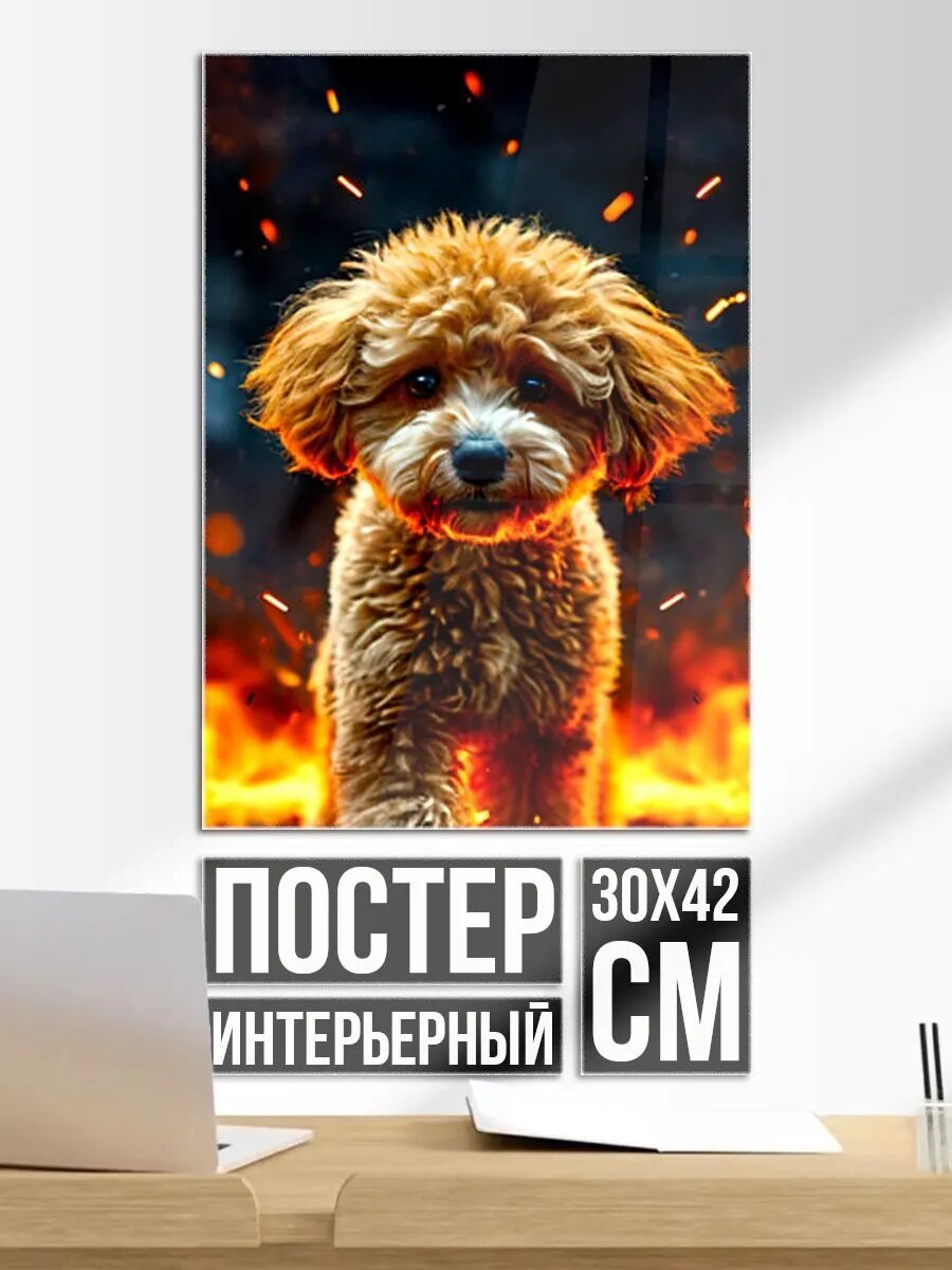 Постер на стену Пудель в искрах огня