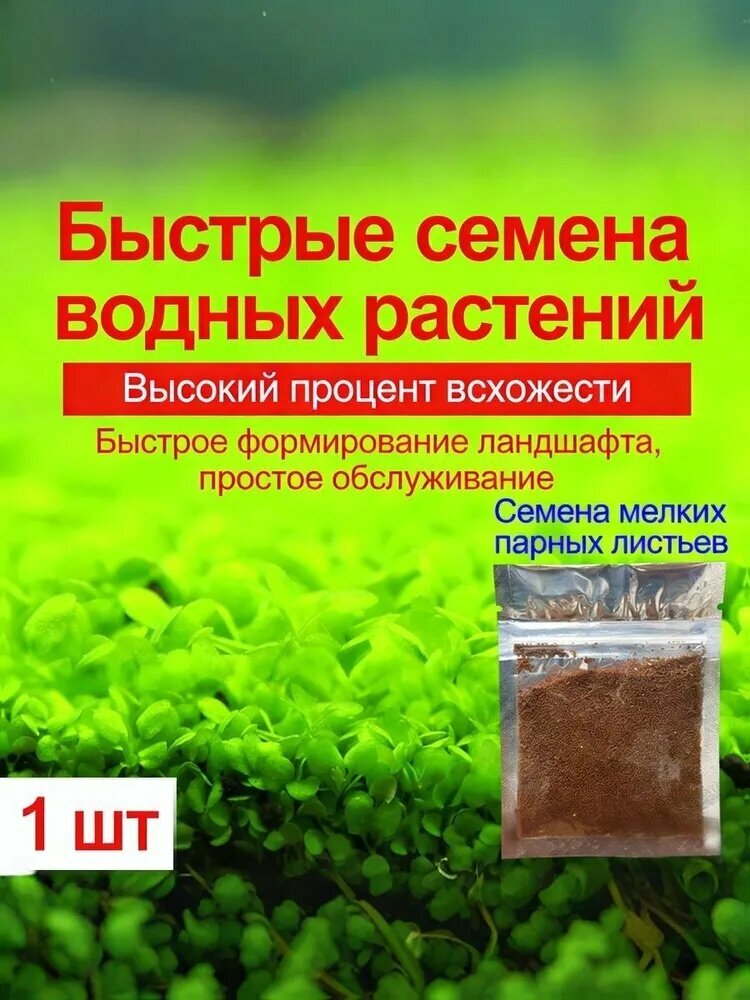 Семена мелколистных аквариумных растений "Двойной лист" 10 г, быстрое формирование ландшафта, высокая всхожесть, неприхотливые, 1 пакет