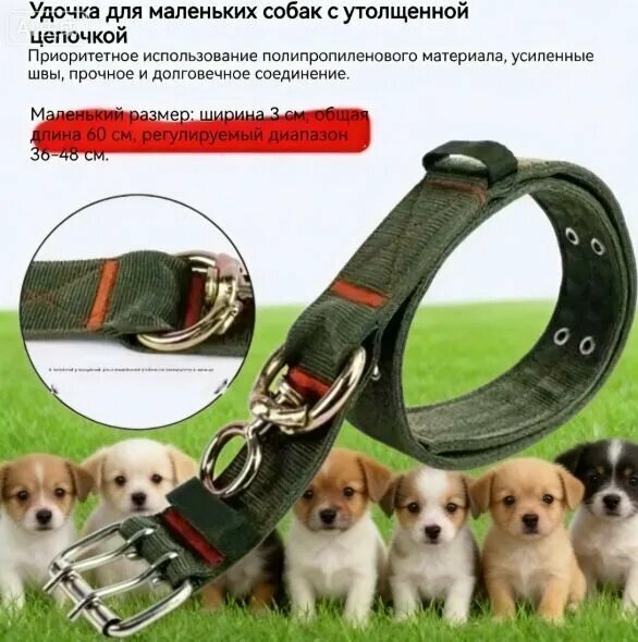 Маленькая собачка с обхватом шеи (ремень из нейлона, двойная пряжка, вертлюг)