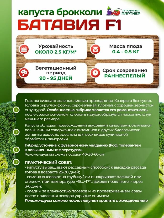 Капуста брокколи Батавия — фото 1