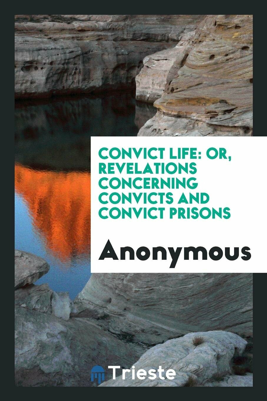 Convict Life. Or, Revelations Concerning Convicts and Convict Prisons