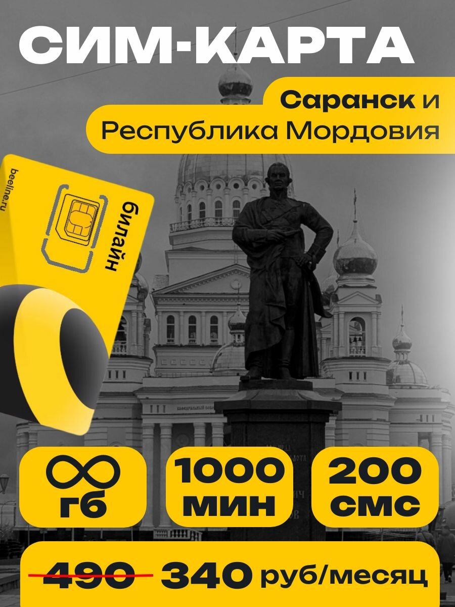 Сим-карта Билайн тариф Эксклюзивный Плюс Республика Мордовия Безлимитный интернет и 1000 минут за 340 руб.