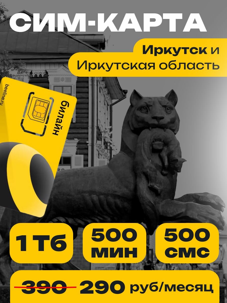 Сим-карта Билайн тариф Эксклюзивный Онлайн Лайт Иркутская область 1024 Гб + 500 минут за 290 руб.