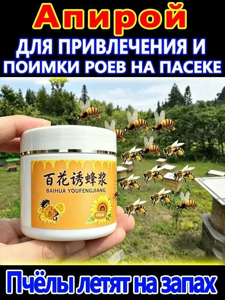 Апирой для поимки роев и приманки пчел