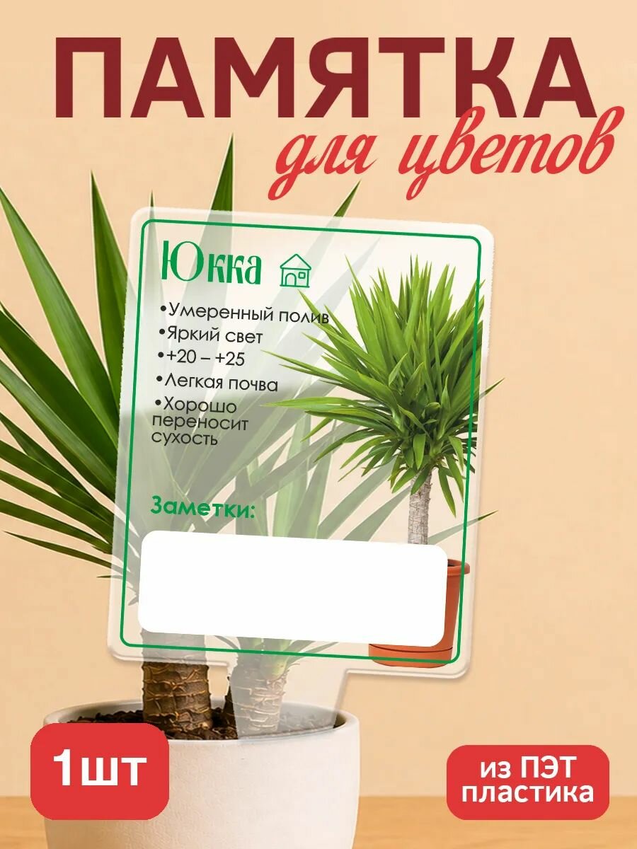 Памятка по уходу за цветами Юкка