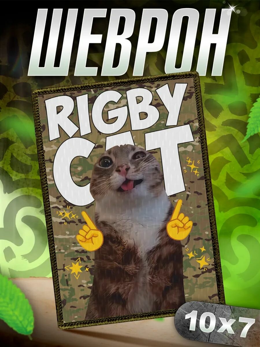 Шеврон на липучке нашивка на одежду котик мем Rigby Cat