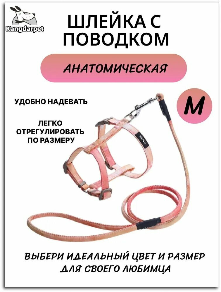 Шлейка и поводок в наборе для щенков и мелких питомцев, премиумаксессуар для кошек, кроликов, хорьков, оранжевый градиент, размер М