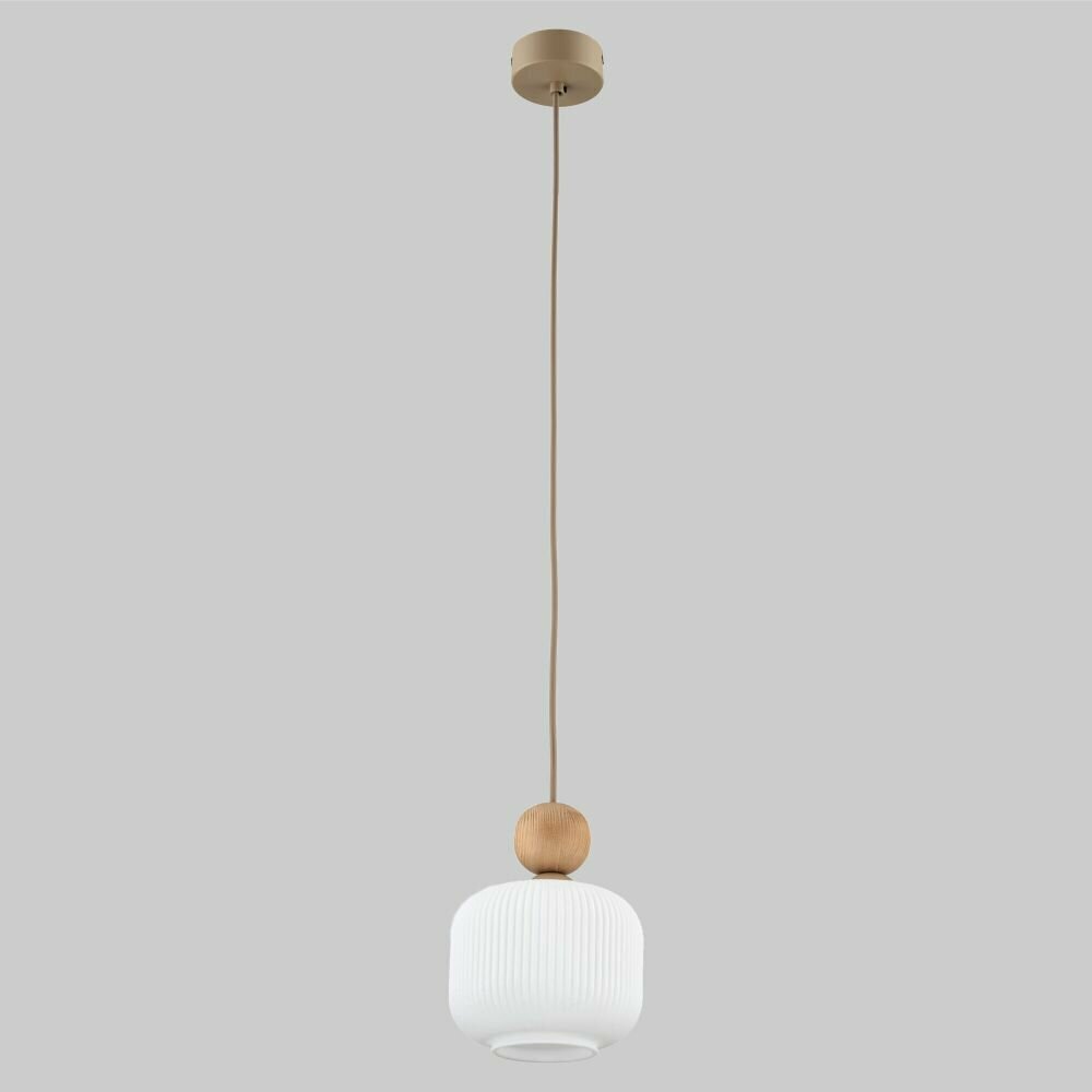 Подвесной светильник со стеклянным плафоном TK Lighting 11049 / подвесной светильник / Ballo.