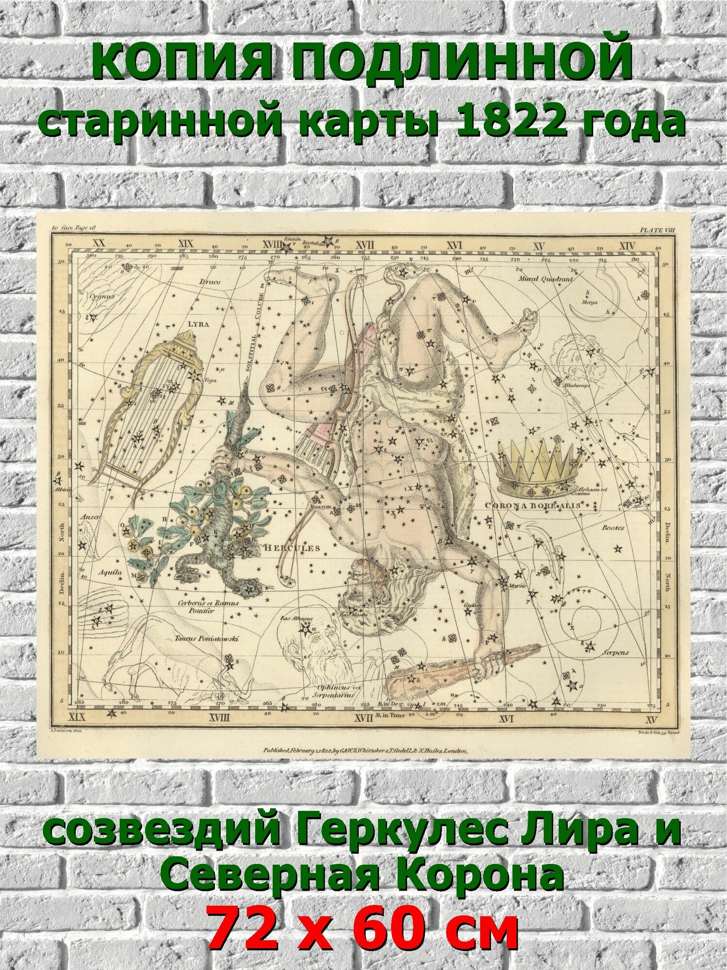 Старинная Карта созвездий. Геркулес, Лира и Северная Корона. (репринт карты 1822 года).