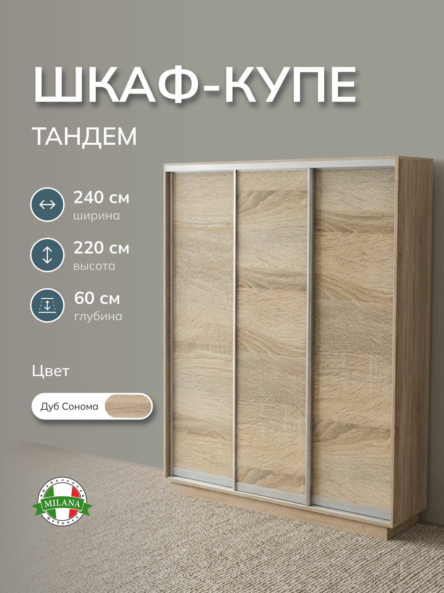 Шкаф купе Тандем трехдверный, 240х220х60 см
