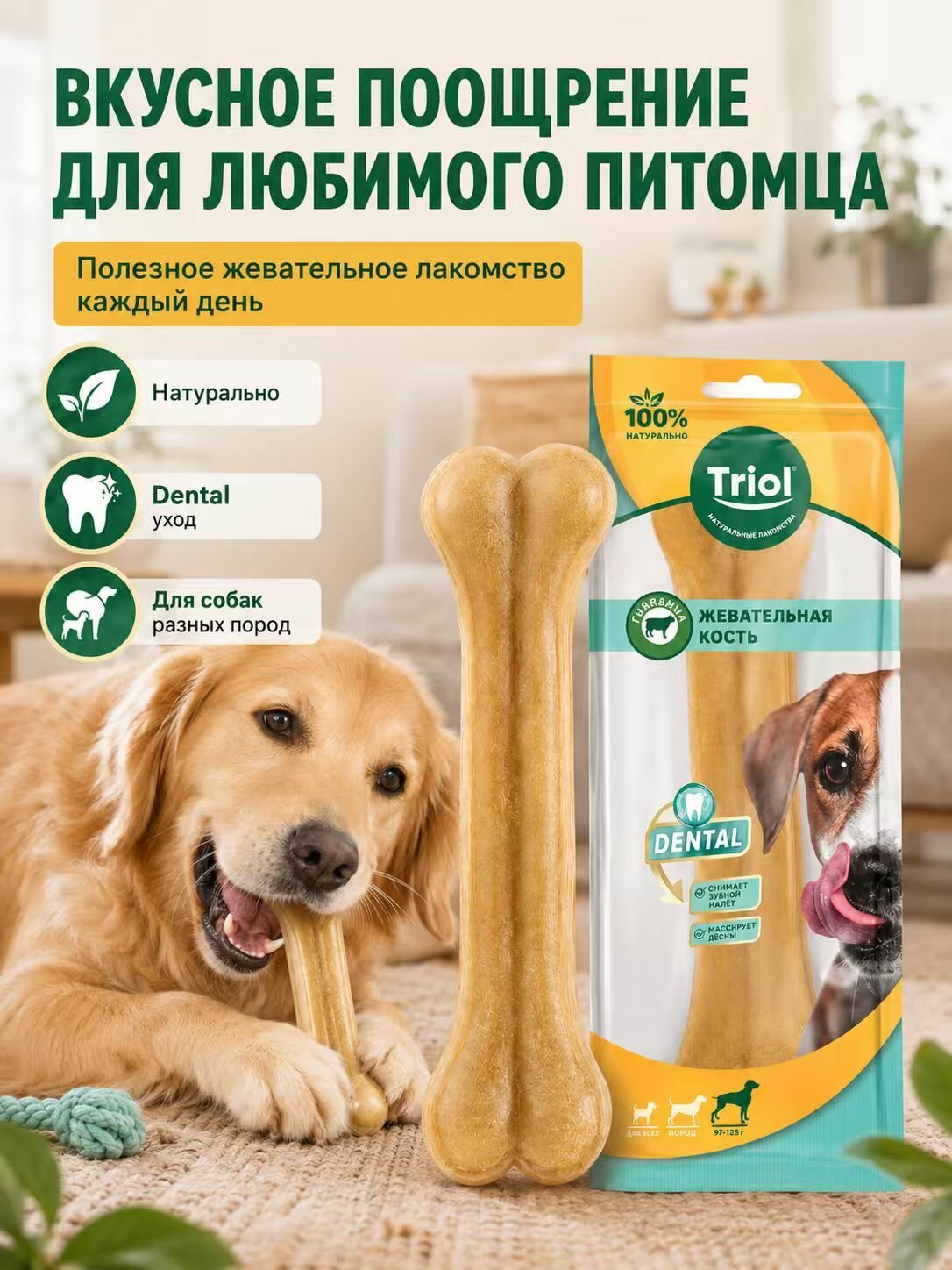 Triol Кость жевательная Dental для собак 25 см, 200-210 г, 1 шт
