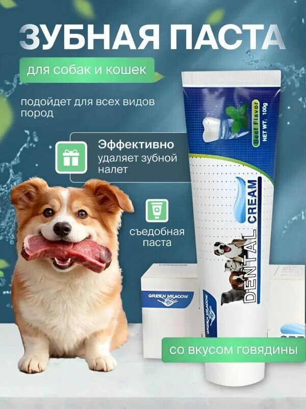 Зубная паста для собак и кошек со вкусом говядины 100 мл.