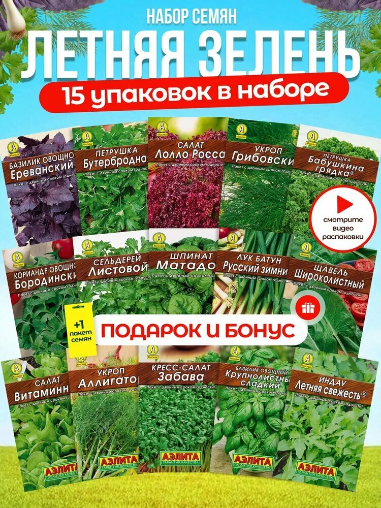 Семена зелени для огорода, набор семян летняя зелень 15 сортов