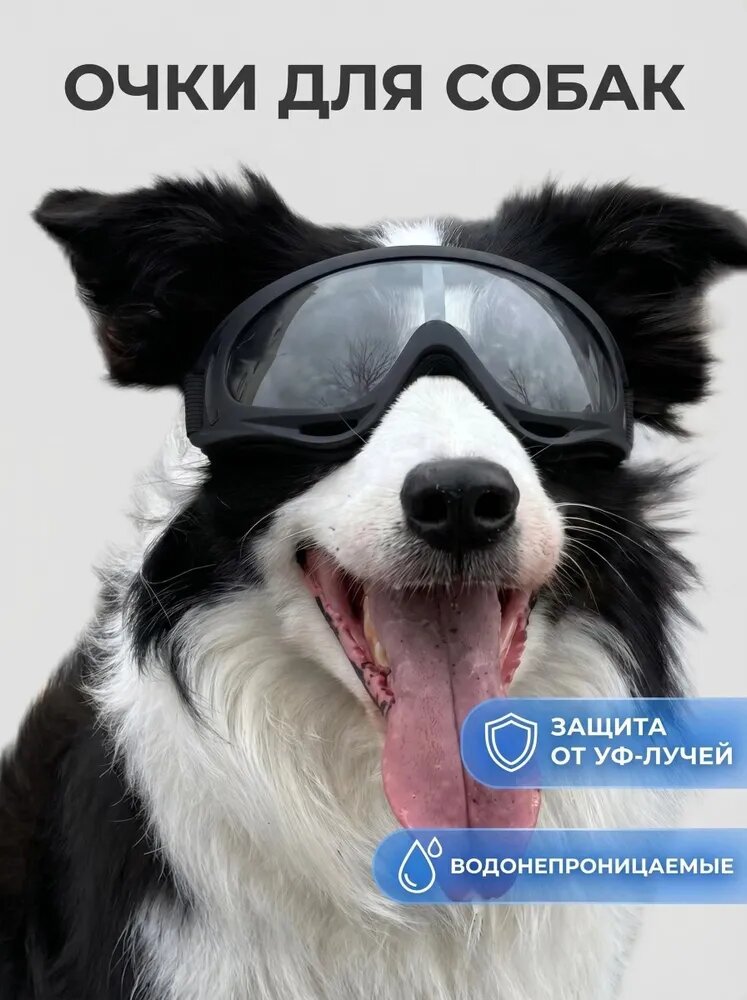 Очки для собак с защитой от ультрафиолета и регулируемыми ремнями для средних и крупных собак.