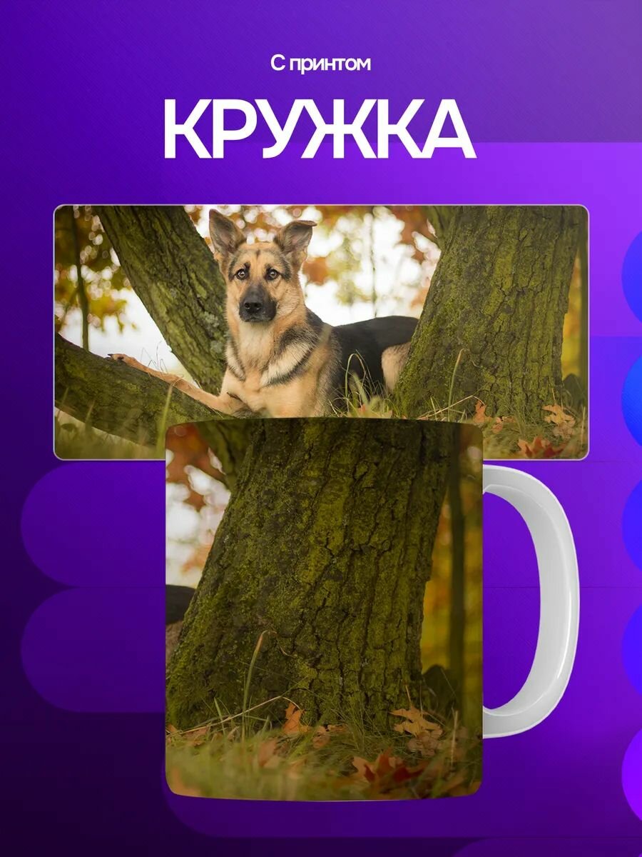 Милая Кружка с рисунком овчарка