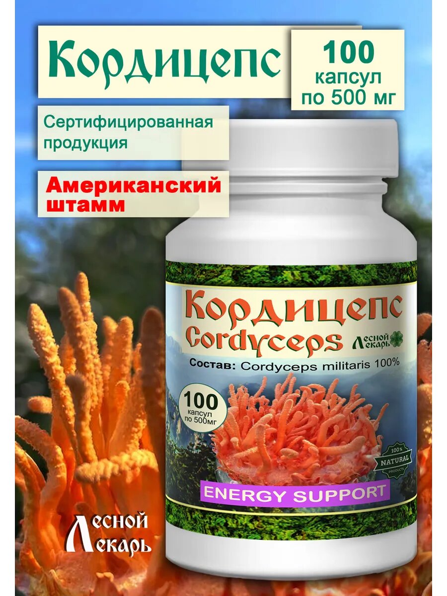БАД Мицелий Кордицепса, для иммунитета и выносливости, 100 капсул