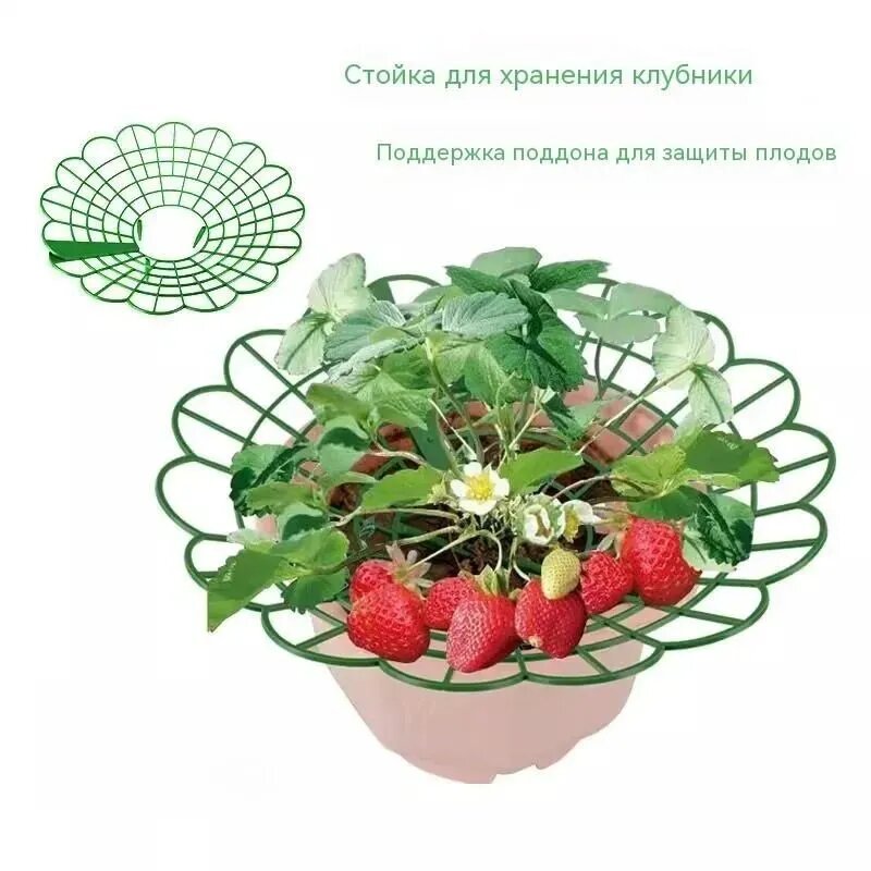 Шпалера,14см,10шт — фото 1