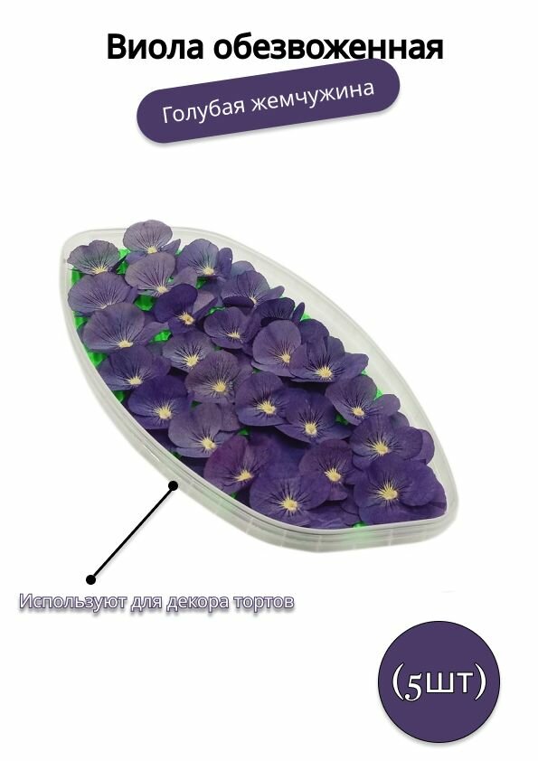 Виола обезвоженная "blue pearl " (Голубая жемчужина), (5шт)