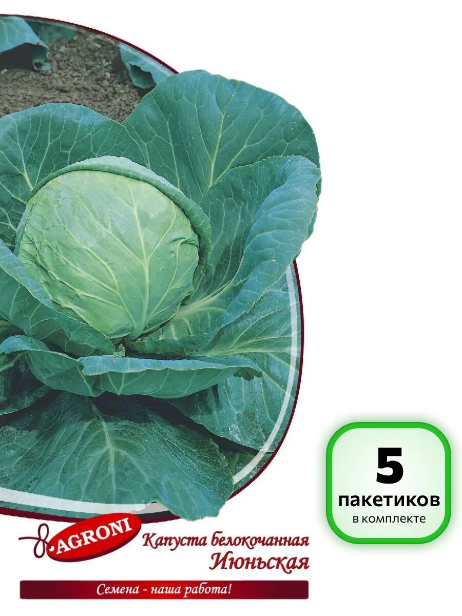 (5 шт.) - Семена Капуста б/к Июньская (0,5г)