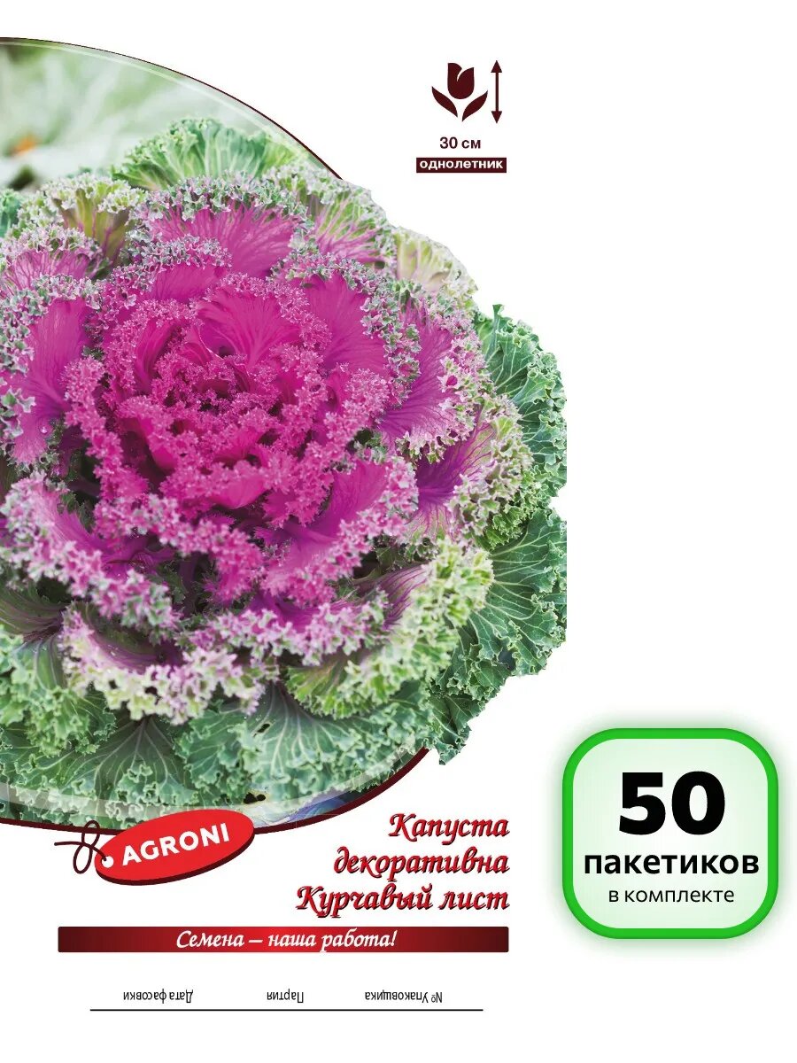 (50 шт.) - Семена Капуста декоративная Курчавый лист (0,5г)