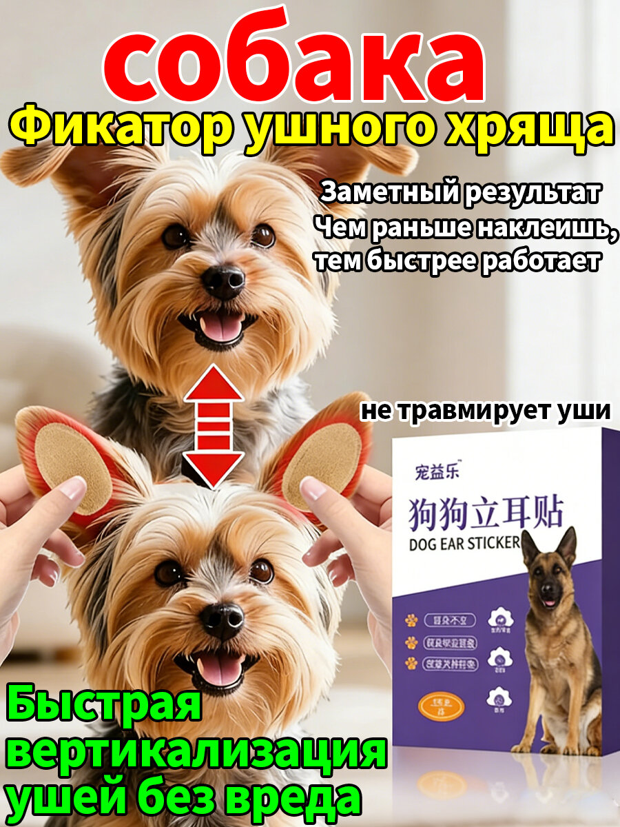 Пластырь для поддержки ушей у собак: мягкая коррекция, защита хряща, быстрый результат