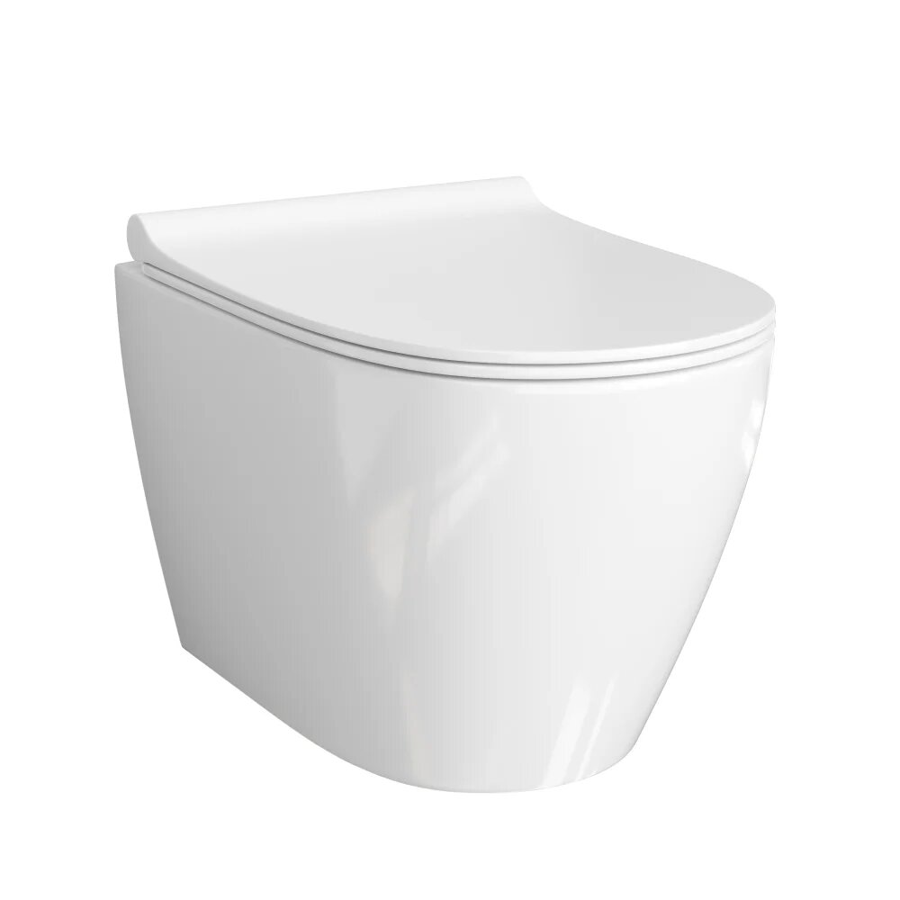 Унитаз подвесной Wasserkraft Mindel H002. E034 с микролифтом, безободковый, без бачка, фарфоровый, белый, глянцевый, овальный, сиденье для унитаза в комплекте